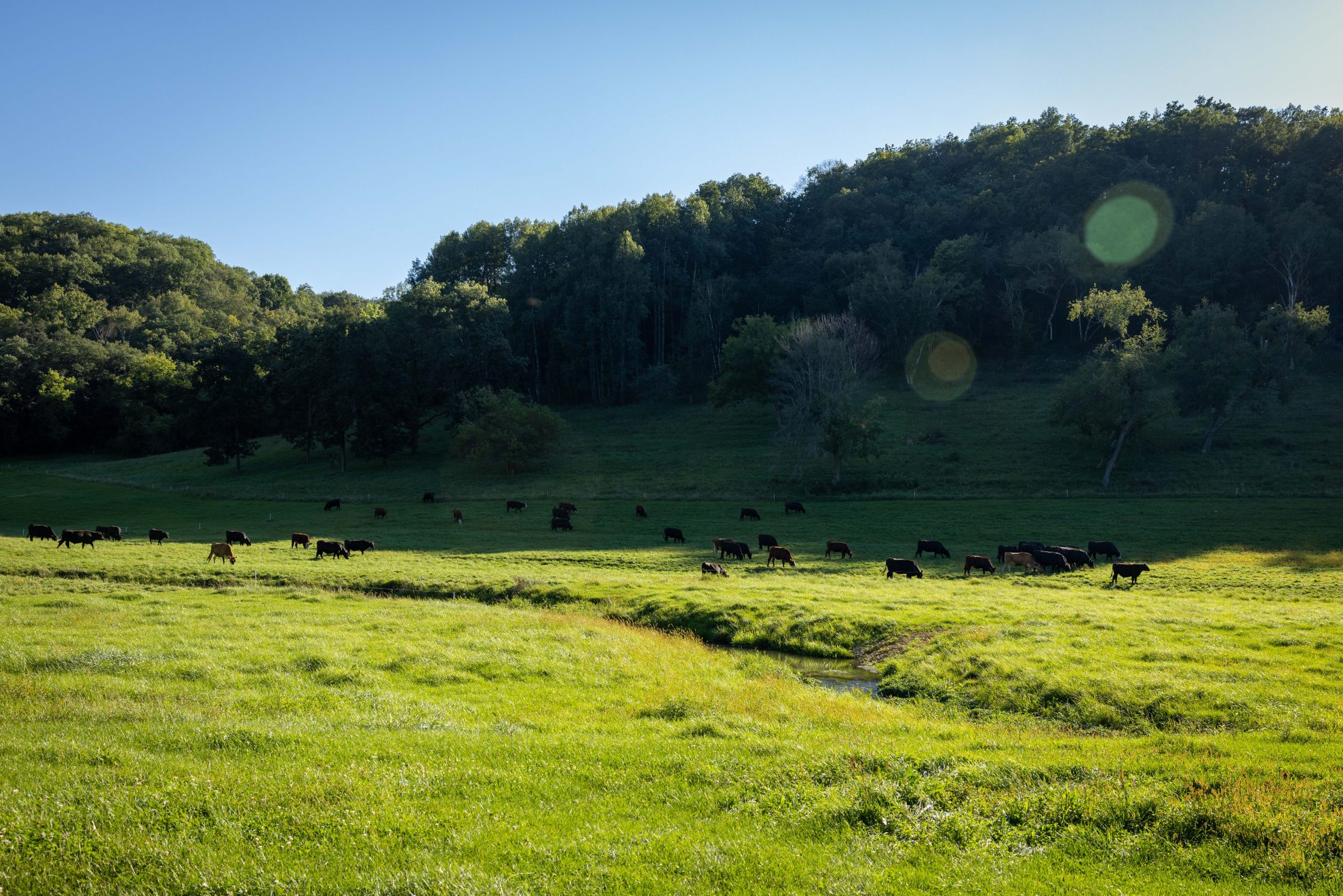 Getting Beyond Yield: A Broader View of Agriculture - Grassland 2.0