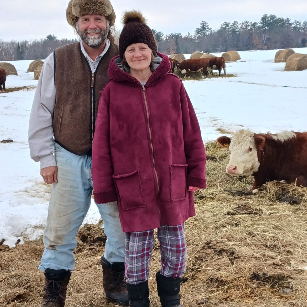 Grazing Presents Opportunities for Connection – Grassland 2.0